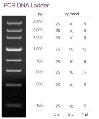 PCR Ladders PCR DNA Ladder - intikemika.com