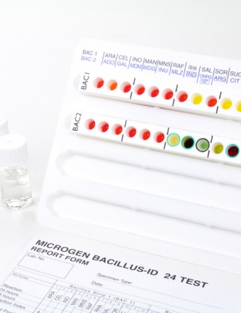 Microgen® Salmonella latex test - intikemika.com