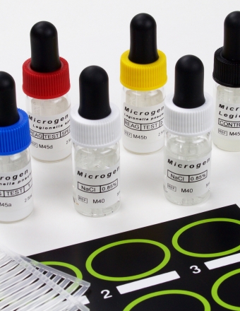 Microgen® Listeria latex test - intikemika.com
