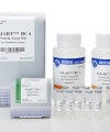 SMART™ BCA Protein Assay Kit - intikemika.com