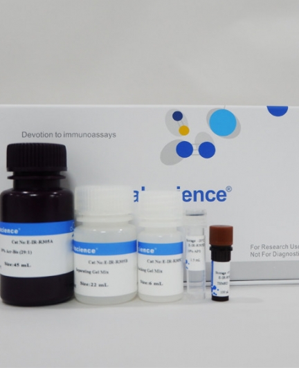 SDS-PAGE Gel kit - intikemika.com