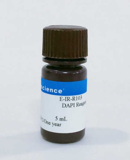 DAPI Reagent - intikemika.com
