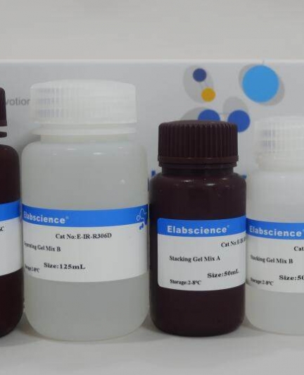 Rapid SDS-PAGE Gel kit - intikemika.com
